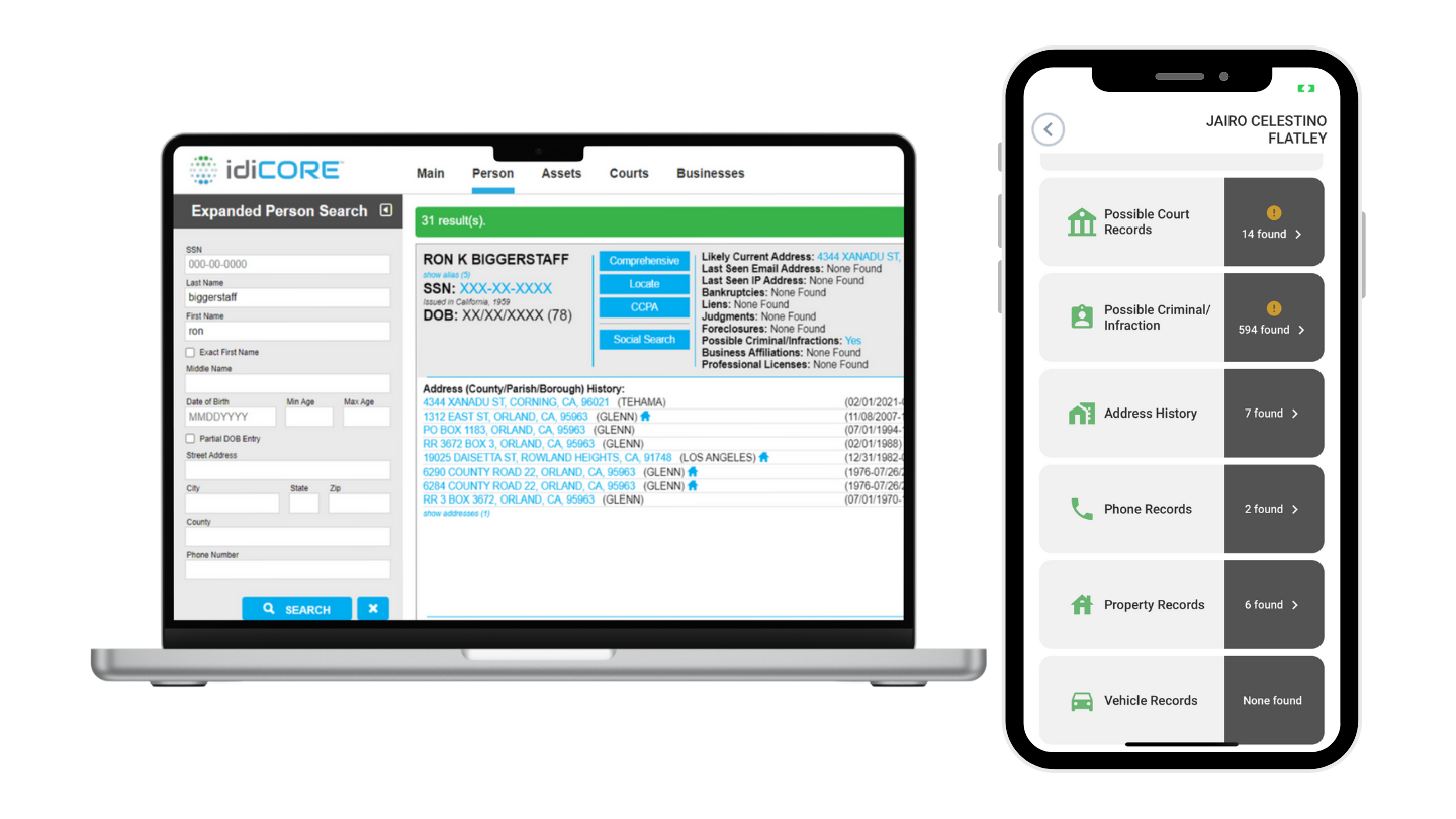 Next-generation identity insights for fraud investigators